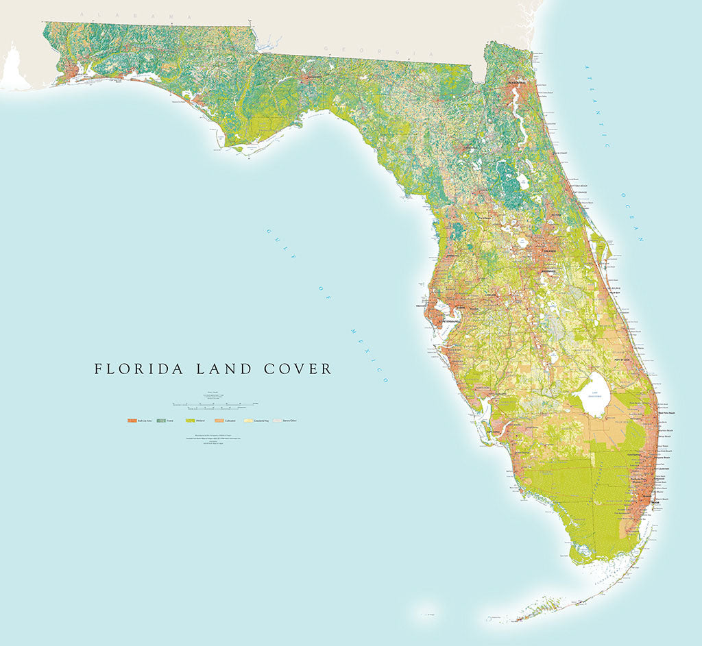 Florida Land Cover Fine Art Print Map – Longitude Maps